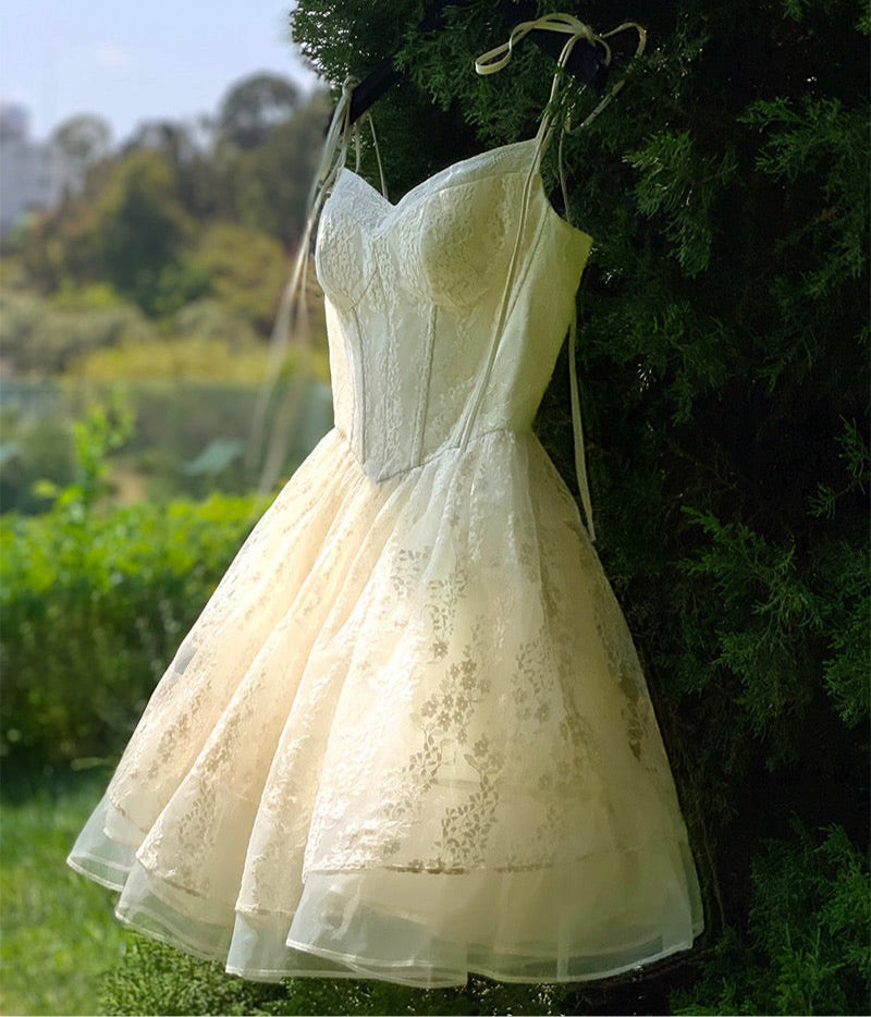 Princess Ballet Dress Romantic Royalcore Princess Corset Dress